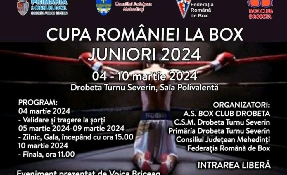 Box: David Berki (50 kg) și Felix Olar (63 kg), de la Daniel Boxing ...