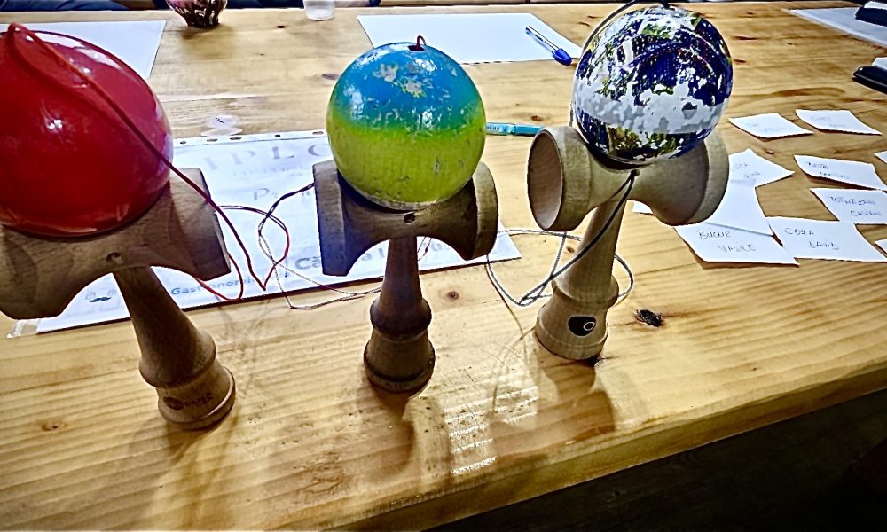 Kendama la sat – Prima ediție a concursului din Soporul de Câmpie a ...